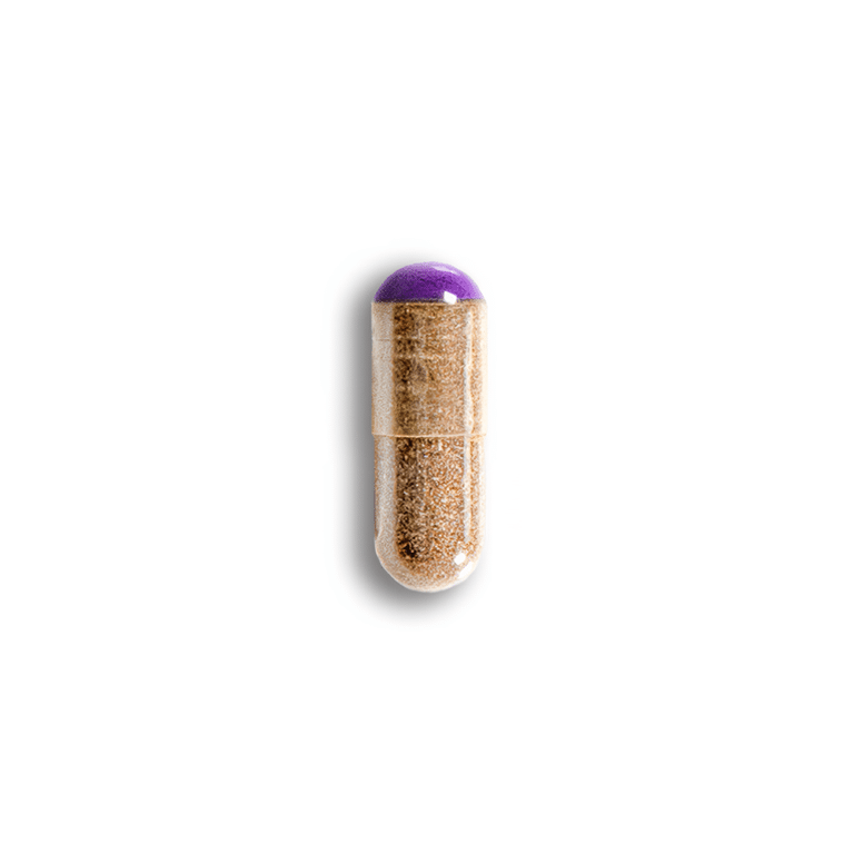 La pastilla morada - The Purple Pill 200mg x 30 Capsules - Healing Empire